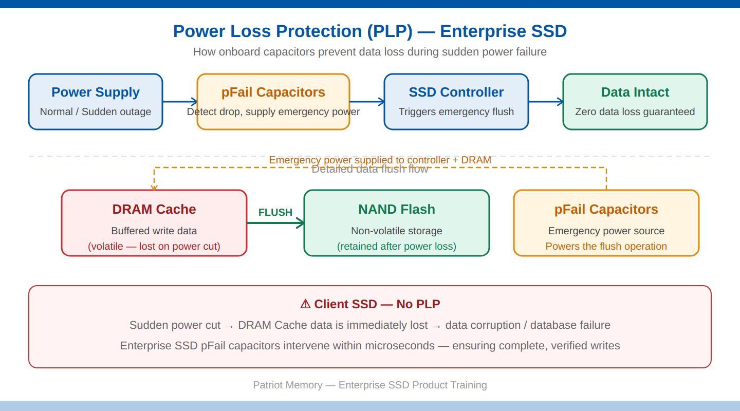 [SSD Basic] Enterprise vs. Client SSDs: A Comprehensive Guide – Patriot ...